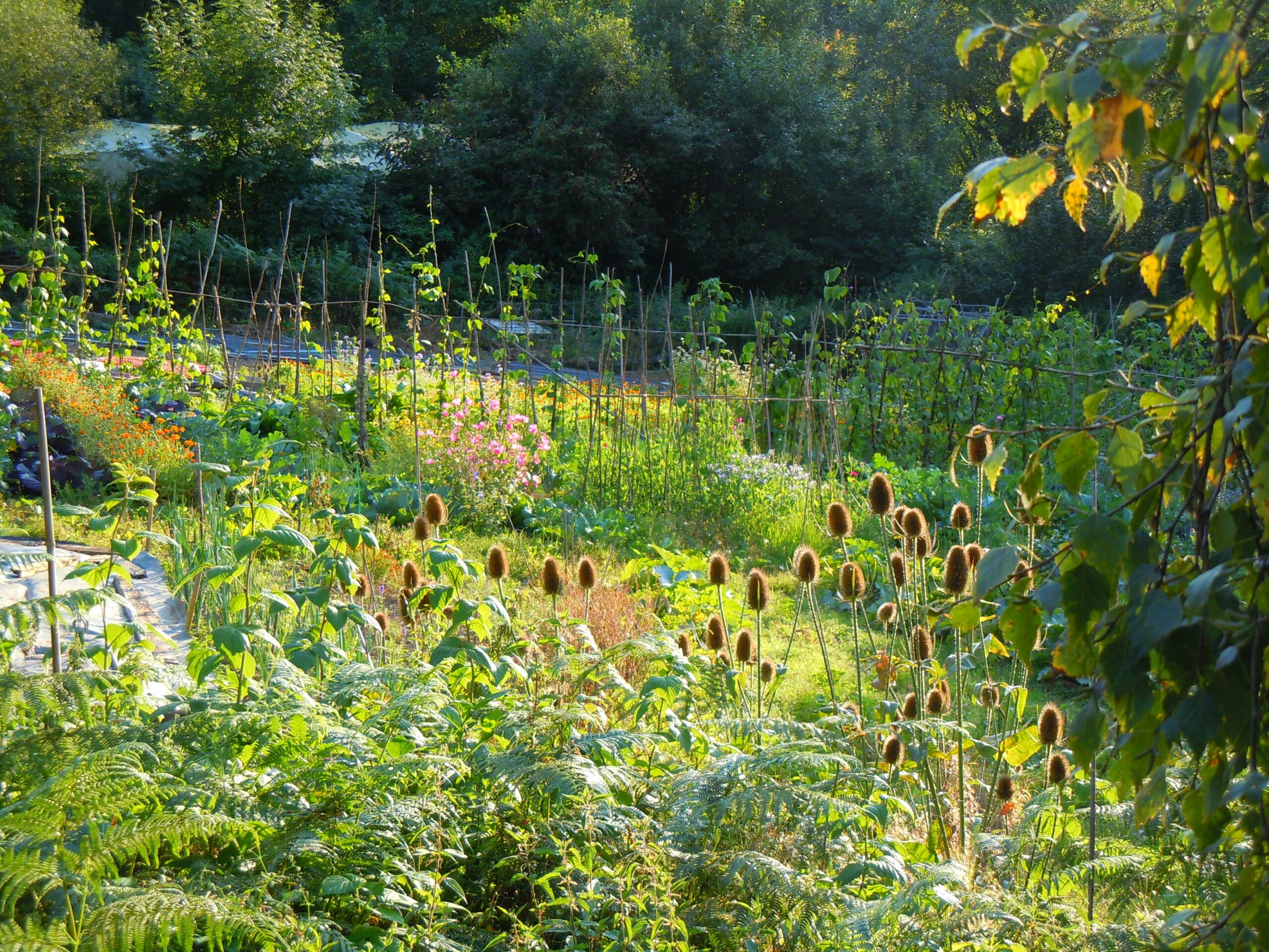 SOURCE: TOWER HAMLETS - JUST FACT