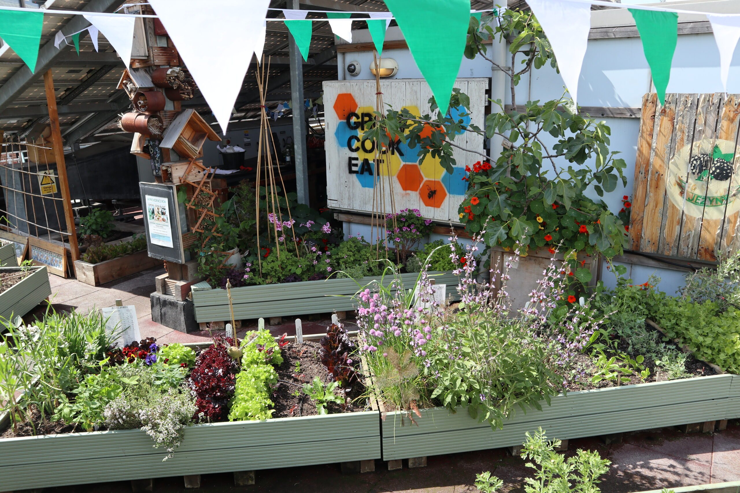 PROVIDENCE ROW - JUST FACT